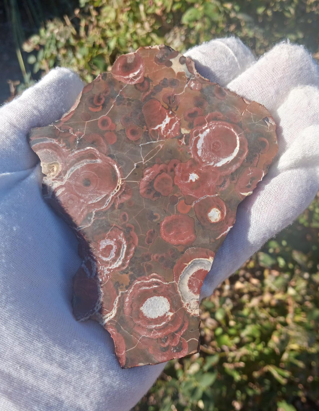 Bold Birdseye Pattern Rhyolite Slab, 100g. Good Material for Lapidary ...