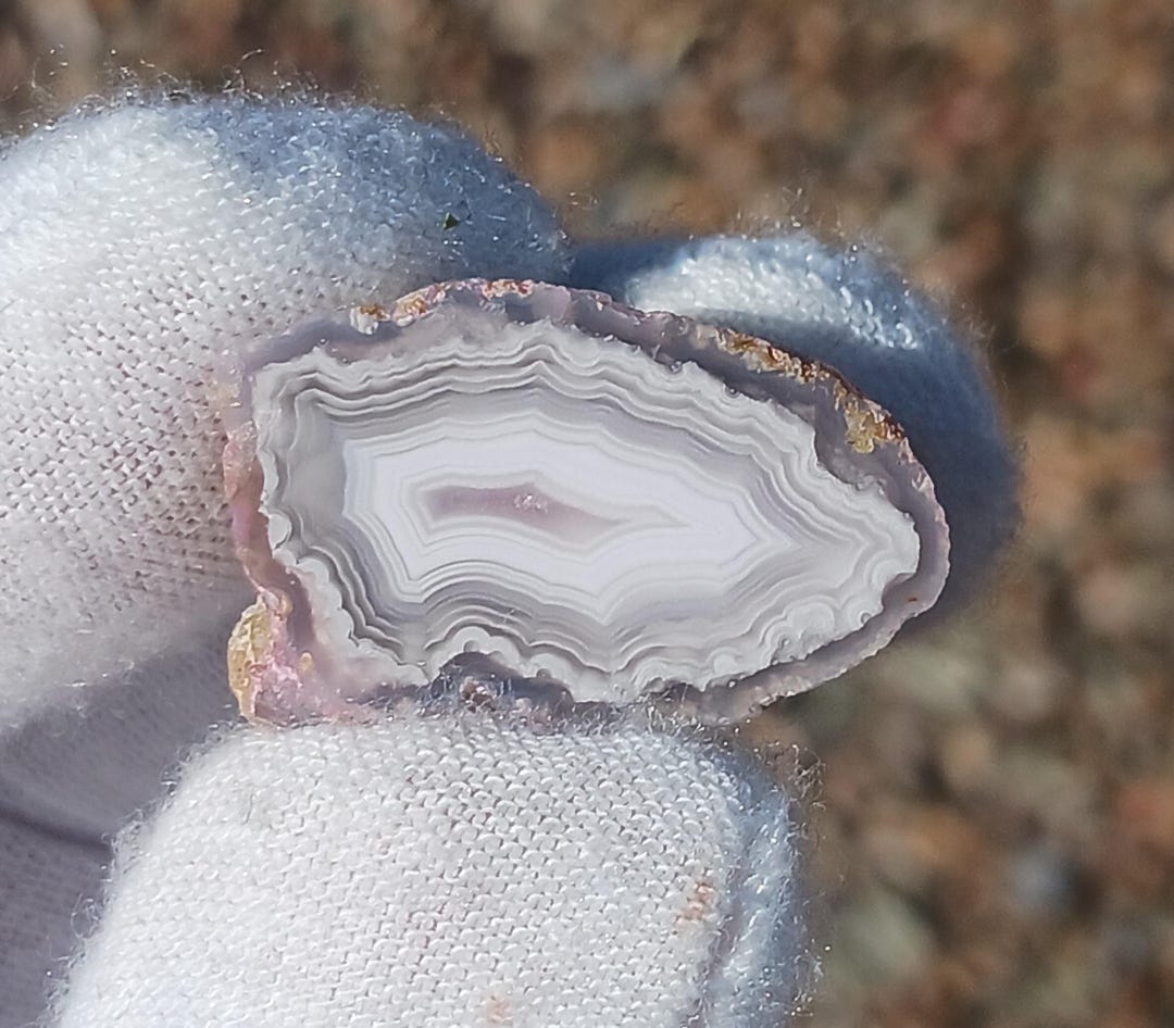 Stunning Polished Banded Thumbnail Size Snow White Laguna Agate Half ...