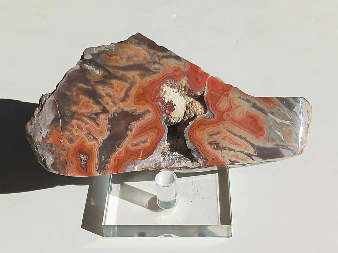 Polished Half of Rare Montana Dryhead Agate. This is an Especially Nice ...