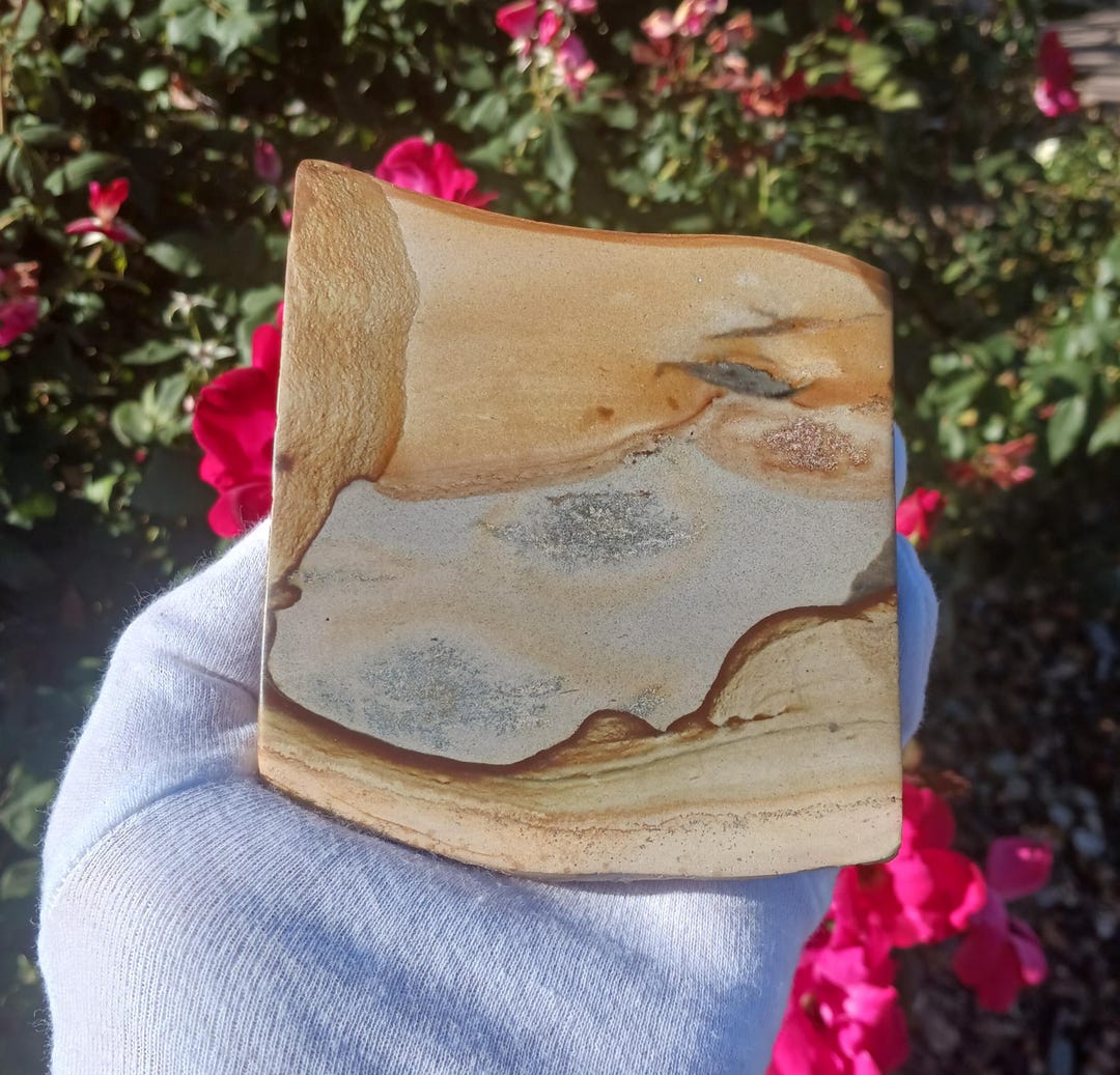 Superb Oregon Picture Jasper Disaster Peak Slab, 267g. Large End Cut ...