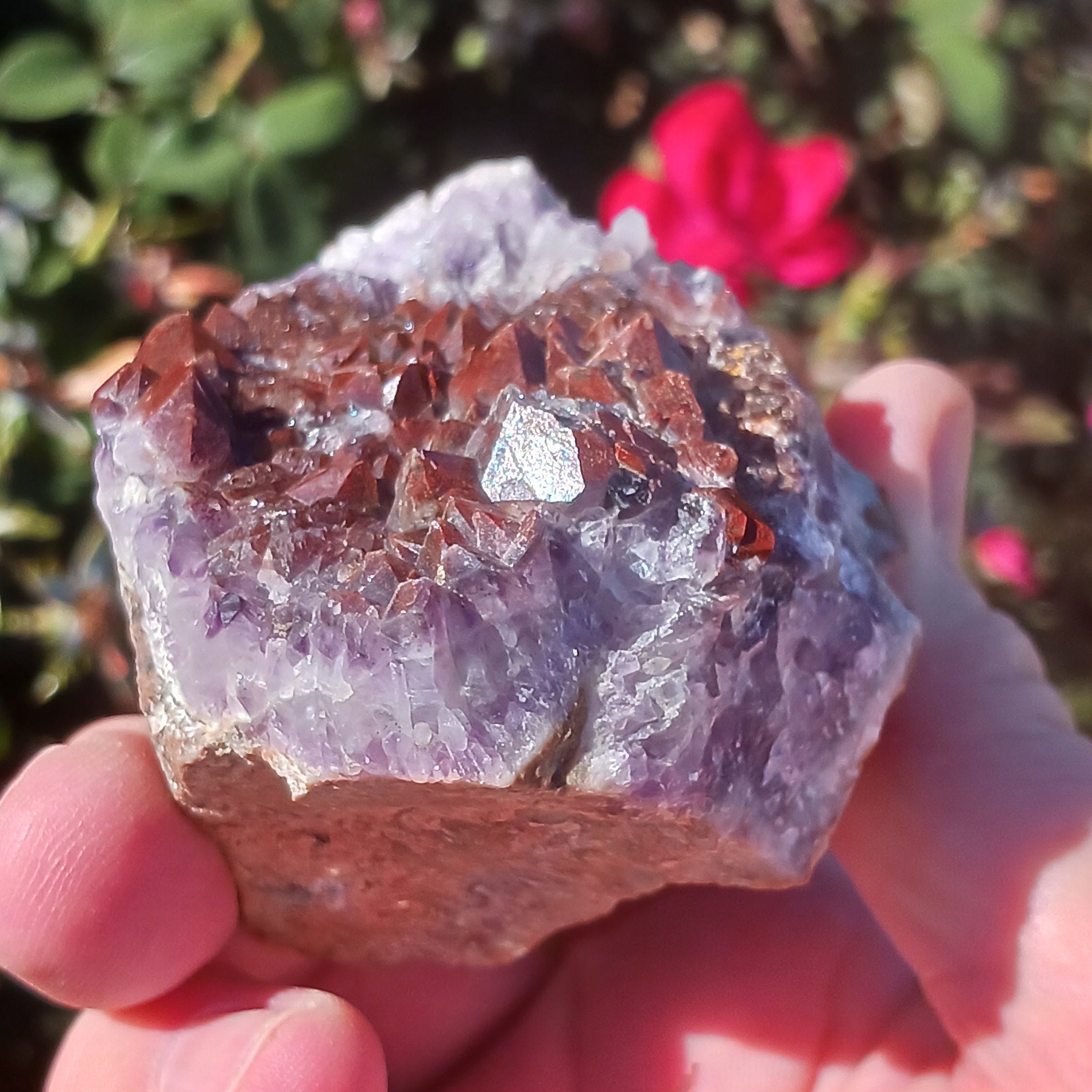 Very Rare Deep Red Amethyst Crystal. Hematite Inclusions Give This Its ...