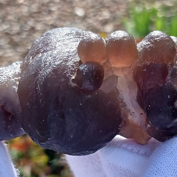 Botryoidal Chalcedony - Etsy