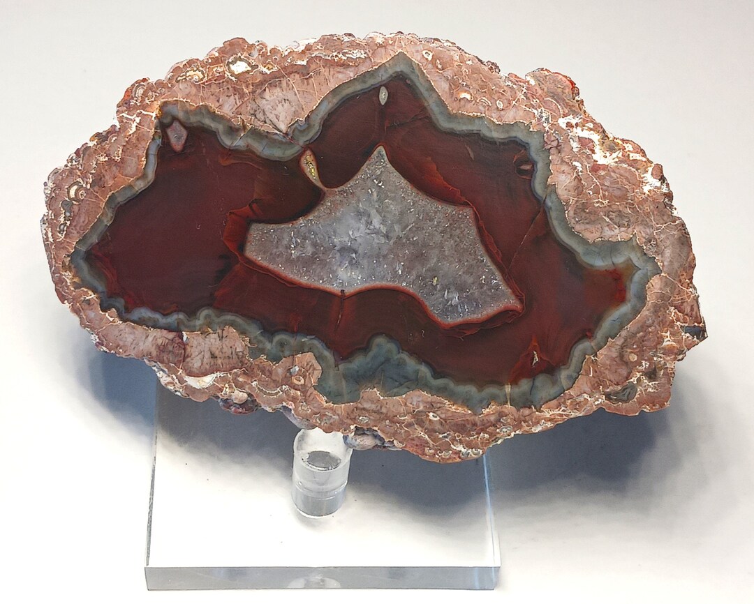 What a Beauty! This is a Top Notch Polished Baker Ranch Thunderegg ...