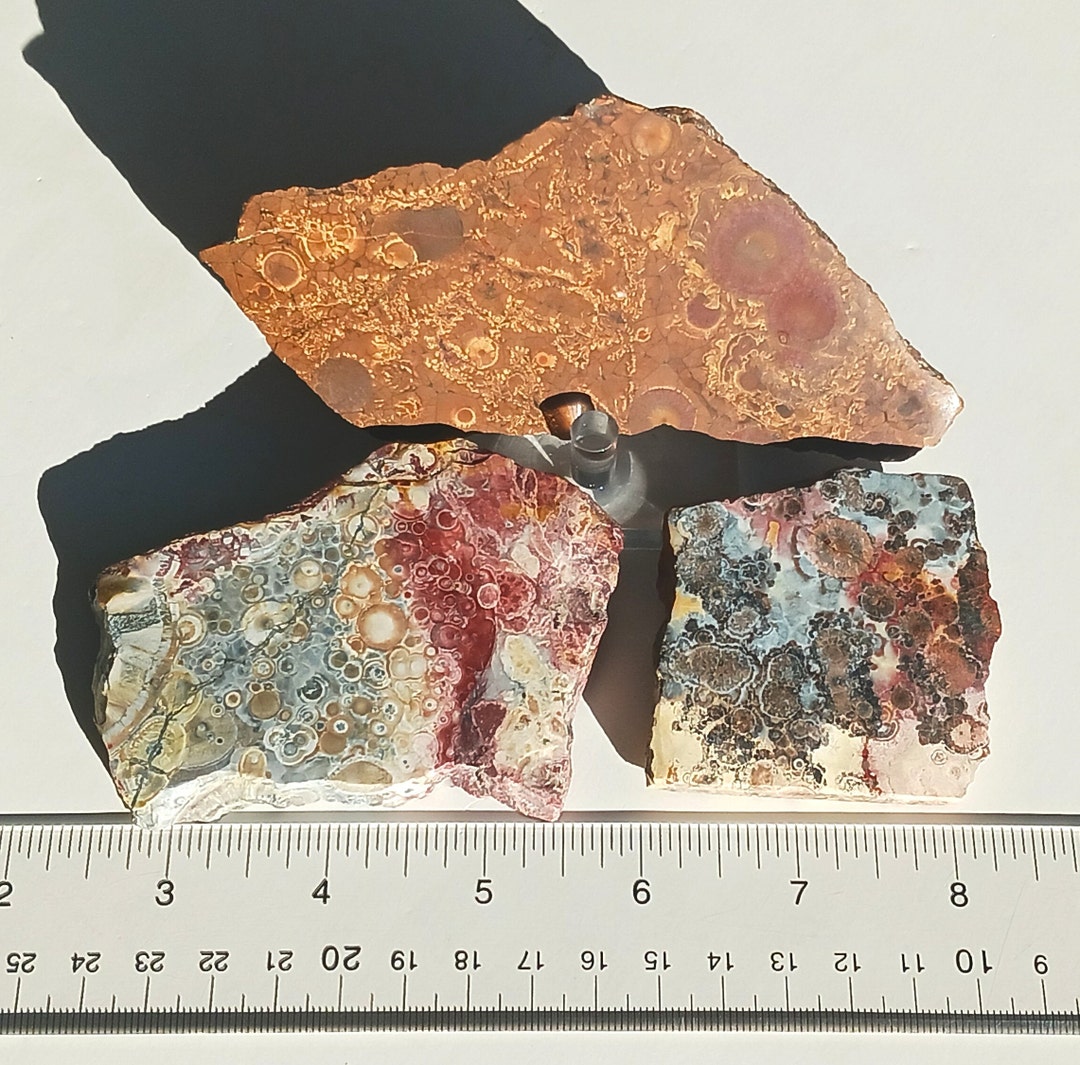 The Eyes Have It! A Superb Trio of Very Rare Oolite Jaspers. They Are ...