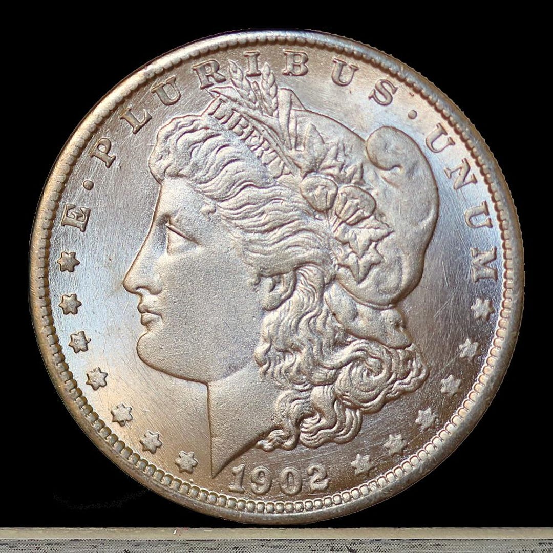 1902 Morgan Dollar Silver Plated Coin Modern RESTRIKE Token ...