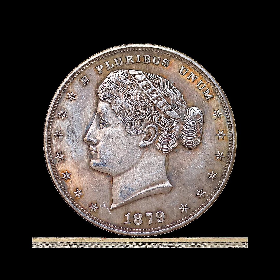 Pattern 1879 Bun Hair Goloid Metric Dollar Silver Plated Novelty Coin ...