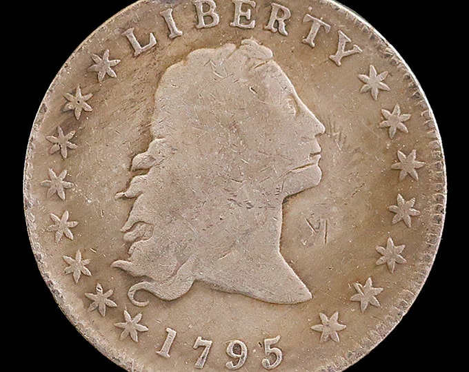1795 Flowing Hair Early Dollar Silver Plated Coin - Circulated - Etsy