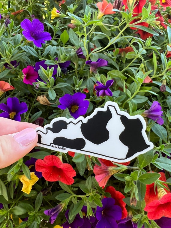 Kentucky Cow Print Sticker - Etsy