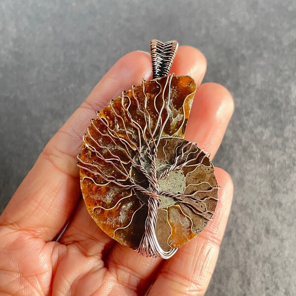 Ammonite - Etsy