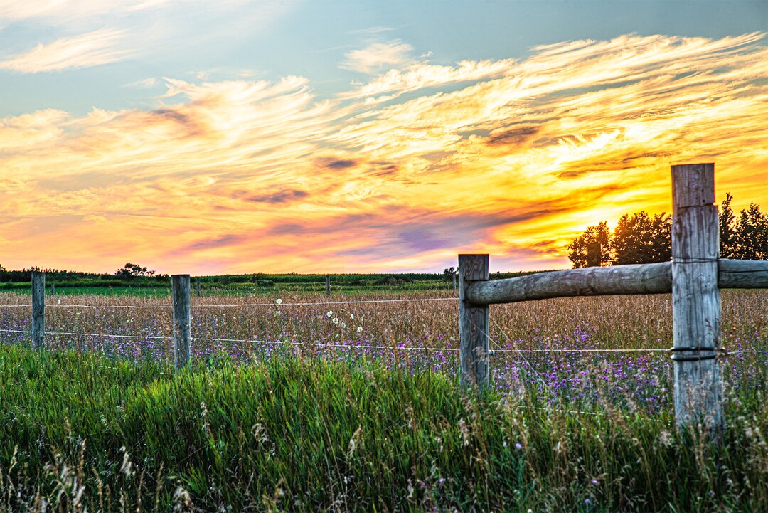 Farm Field Sunset - Etsy