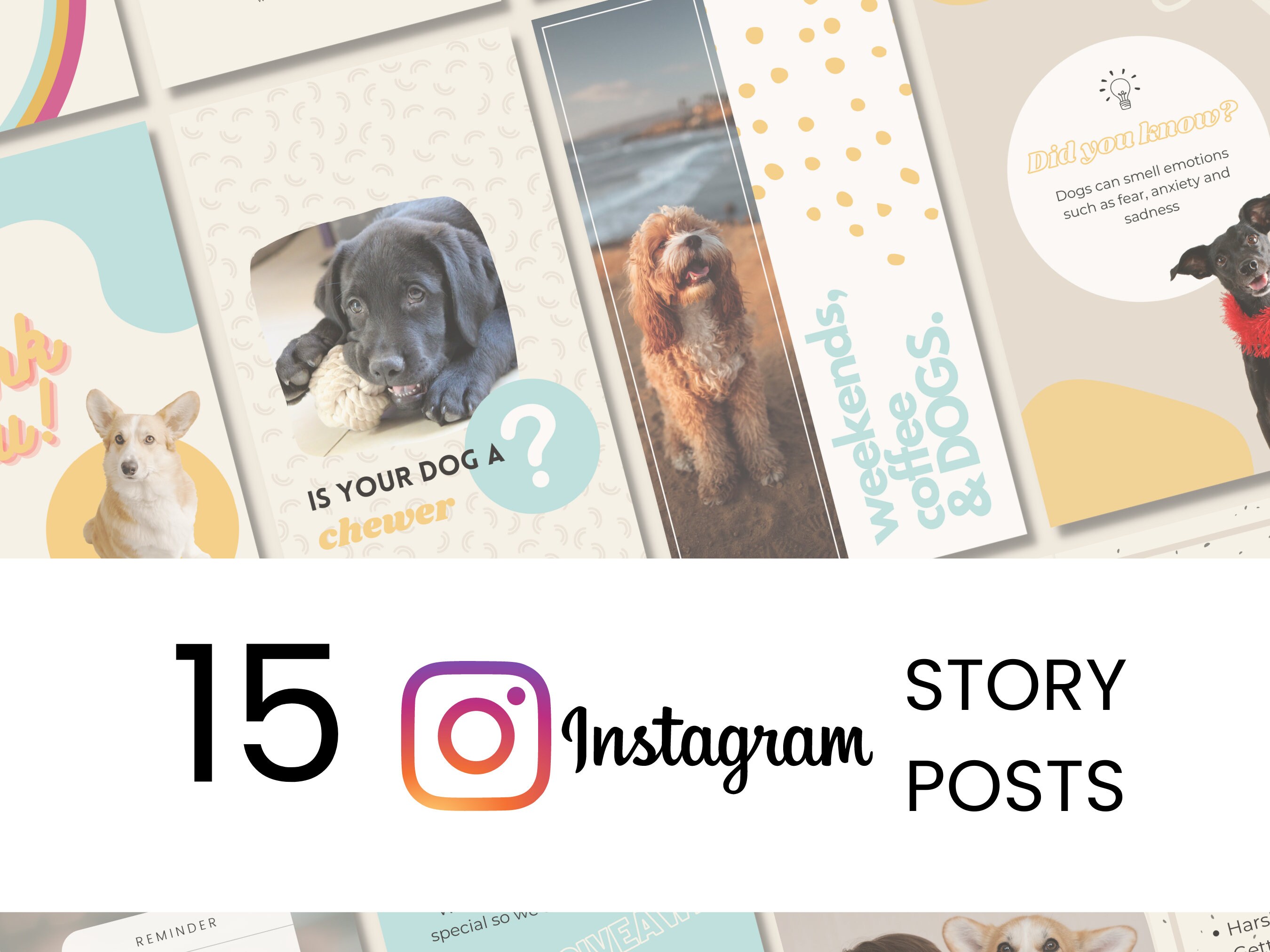 30 Pets Instagram Post Template Social Media Dogs Pet Template Dog ...
