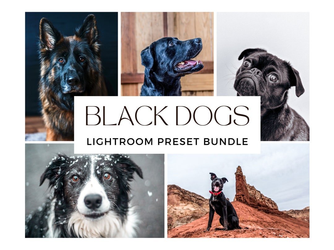 10 BLACK DOGS Lightroom Presets | Dog Presets | Pet Photo Editing ...