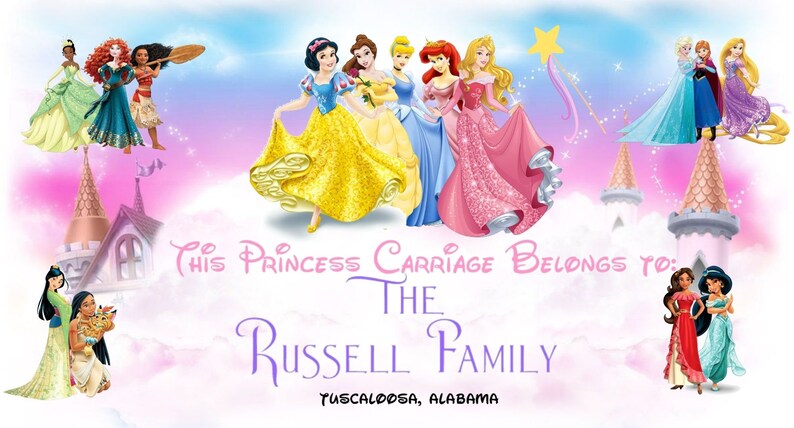 Disney Princess Stroller Spotter, Tag, Custom Stroller Tag, Wheelchair ...