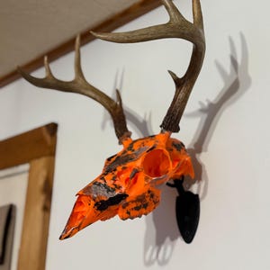 European Deer Skull Mount (3D Printed) - Etsy