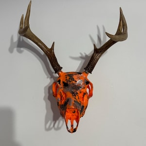 European Deer Skull Mount (3D Printed) - Etsy