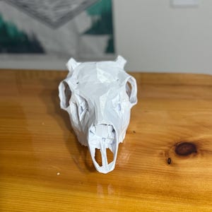 European Deer Skull Mount (3D Printed) - Etsy