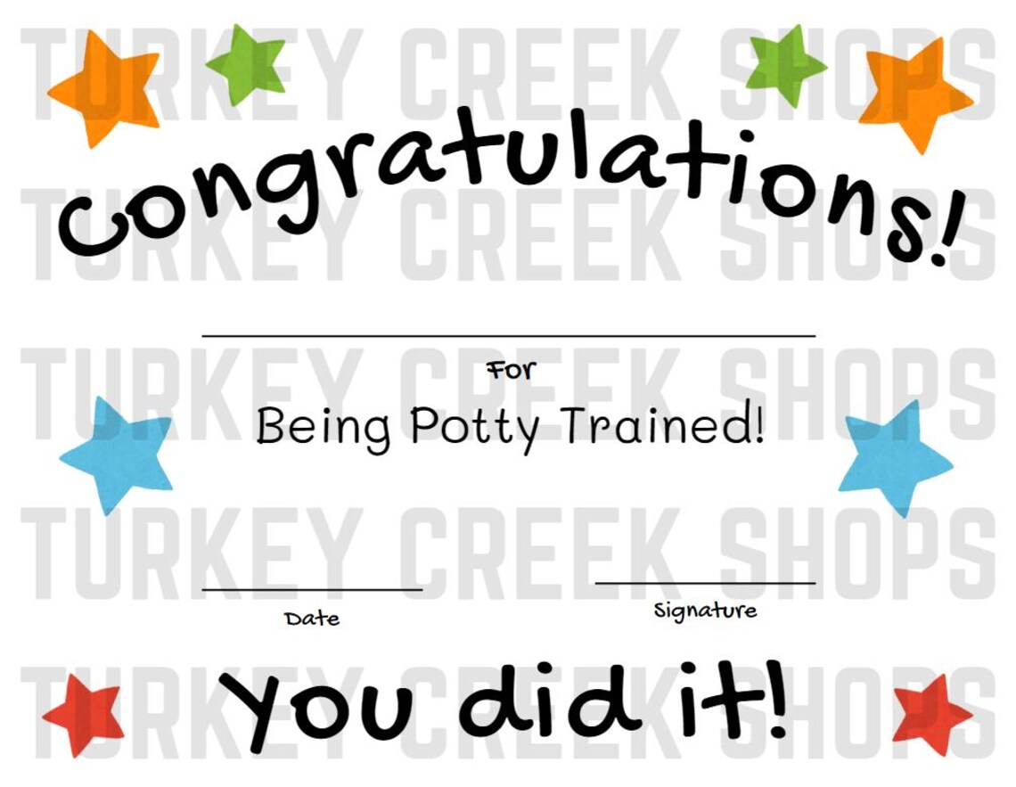 Potty Training Certificate - Etsy