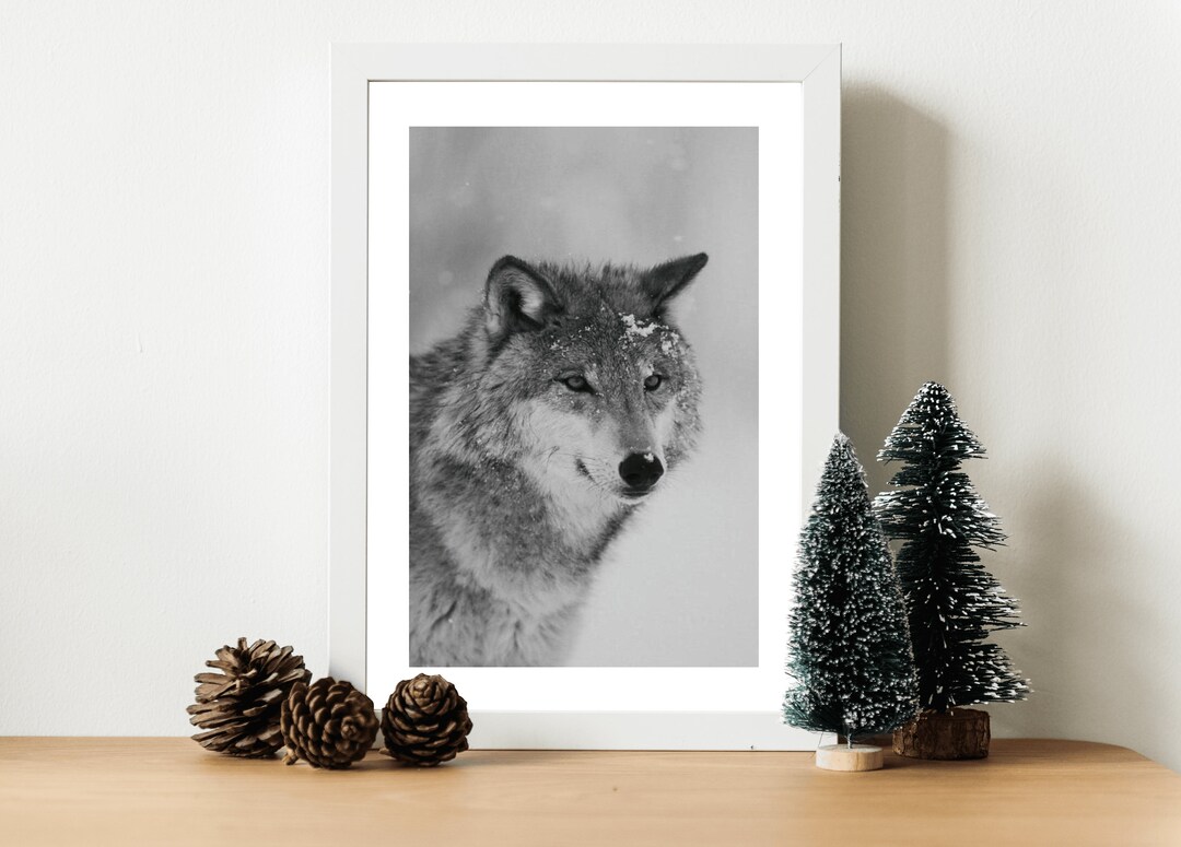 Wolf in the Snow Winter Wall Art Poster Print | Snowy Wolf Print ...