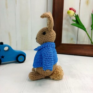 Small - Peter Rabbit Crochet Pattern, Amigurumi Pattern, Amigurumi ...