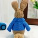 Small - Peter Rabbit Crochet Pattern, Amigurumi Pattern, Amigurumi ...