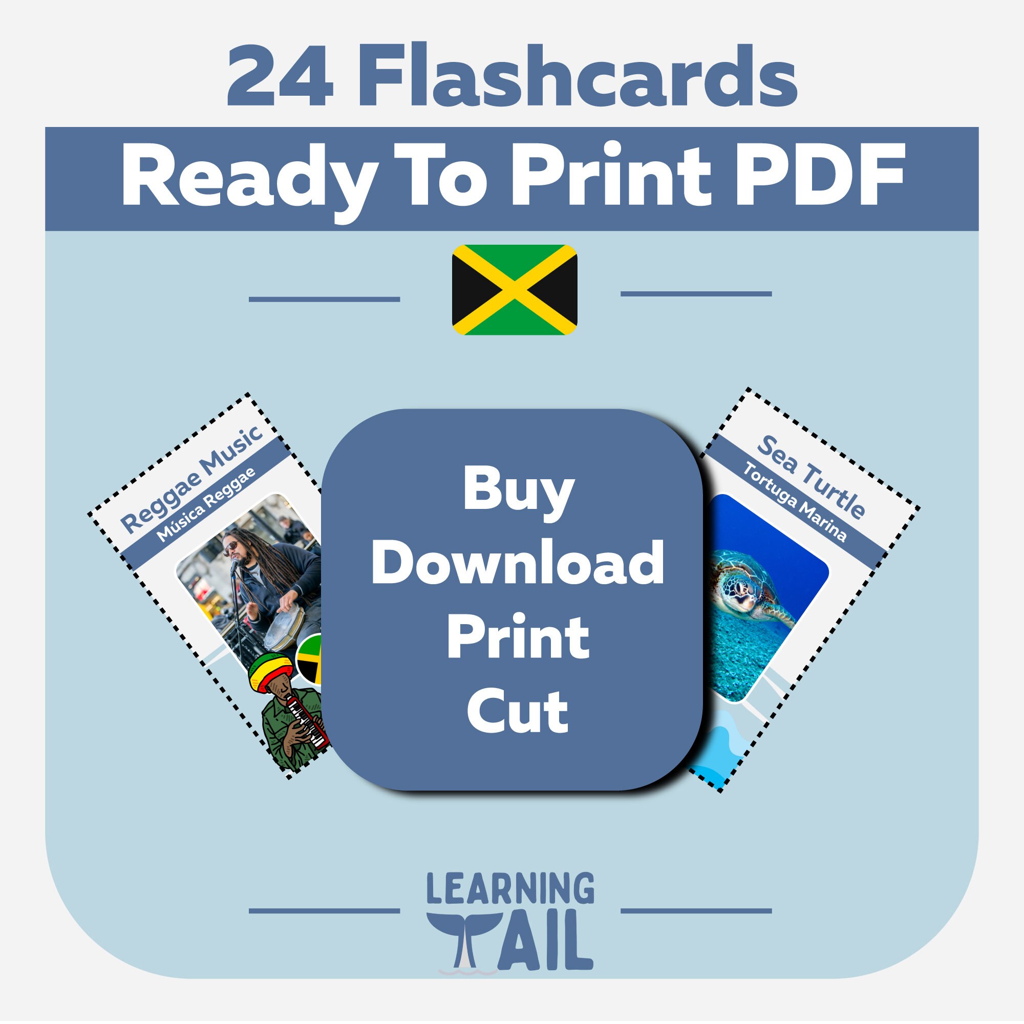 Learn About Countries: Jamaica Flashcards for Kids! - Etsy