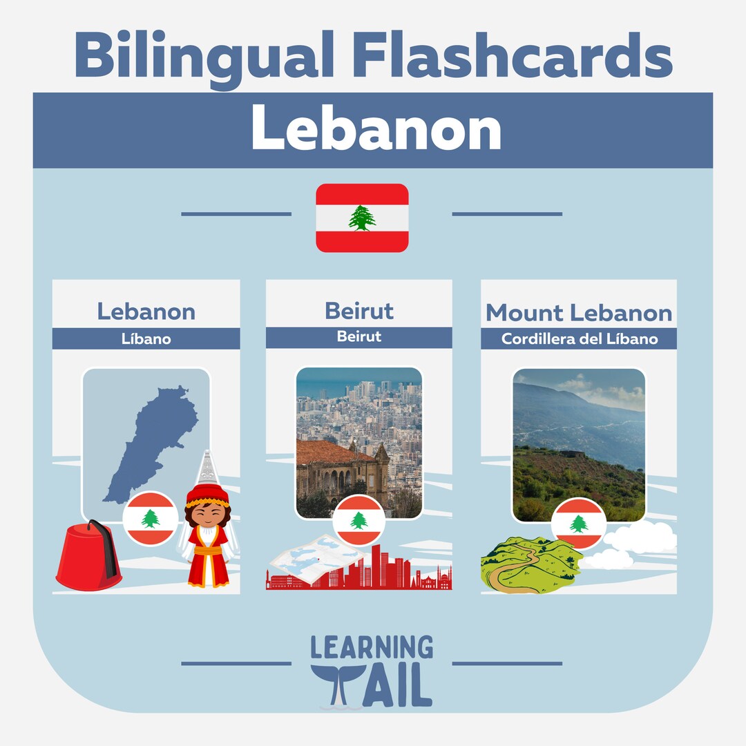 Learn About Countries: Luxembourg Flashcards for Kids! - Etsy