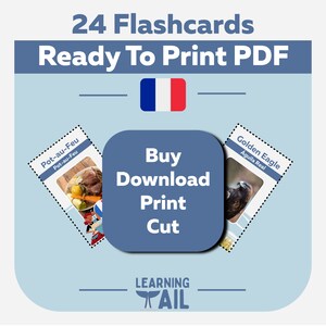 Learn About Countries: France Flashcards for Kids! - Etsy
