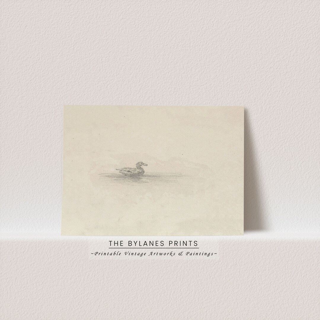 Vintage Duck Illustration Duck Sketch Drawing Minimalist Wall Art Muted ...