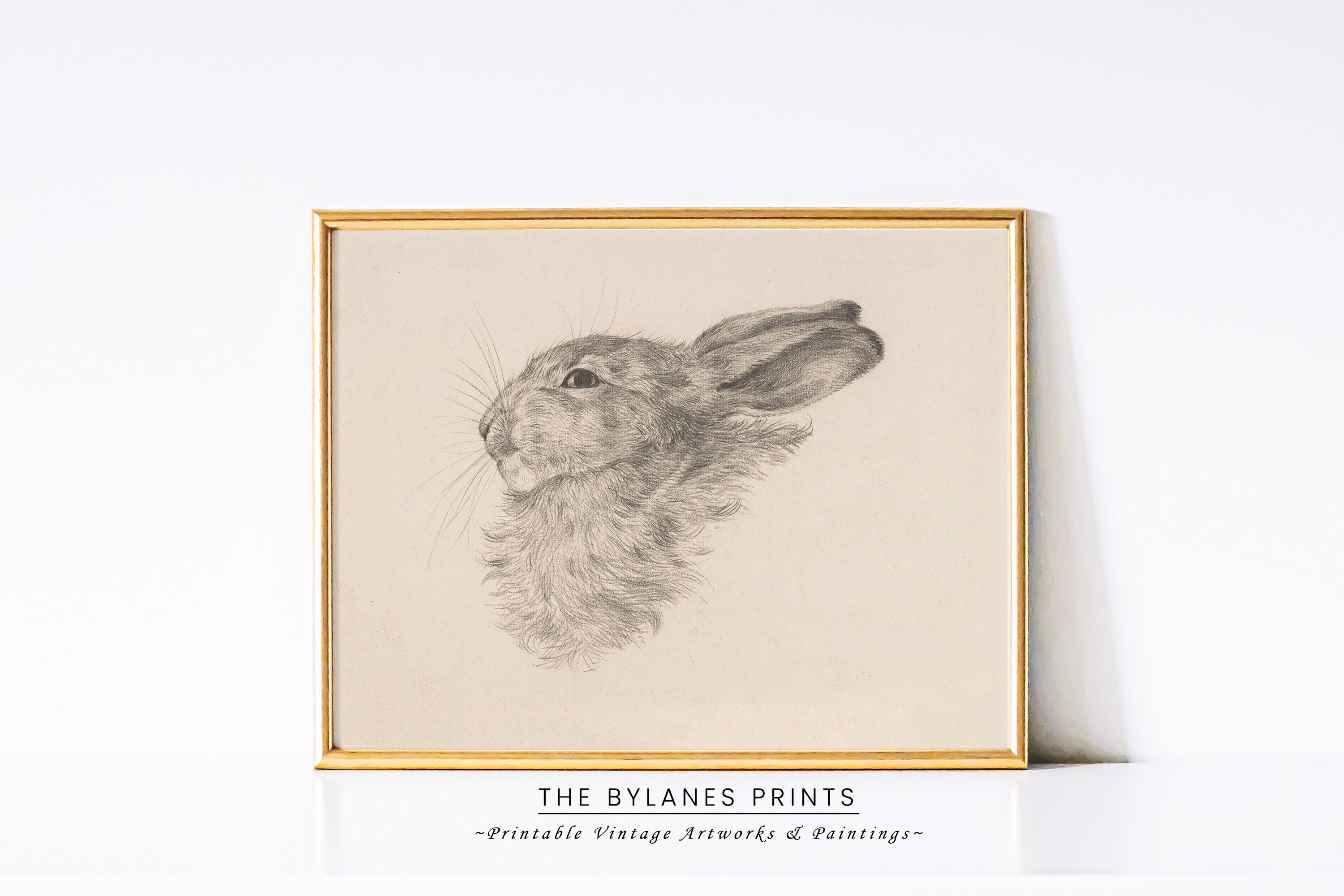 Vintage Bunny Illustration Bunny Drawing Minimalist Wall Art Muted Tone ...
