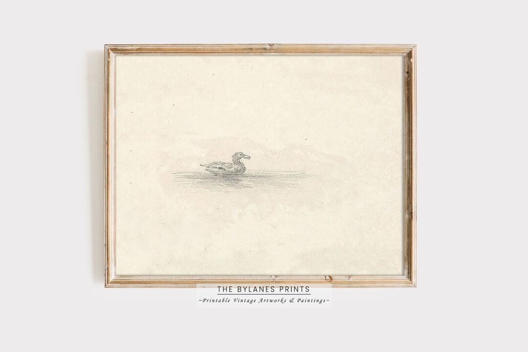 Vintage Duck Illustration | Duck Sketch Drawing | Minimalist Wall Art ...