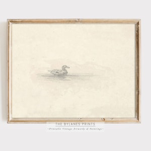 Vintage Duck Illustration Duck Sketch Drawing Minimalist Wall Art Muted ...