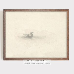 Vintage Duck Illustration | Duck Sketch Drawing | Minimalist Wall Art ...