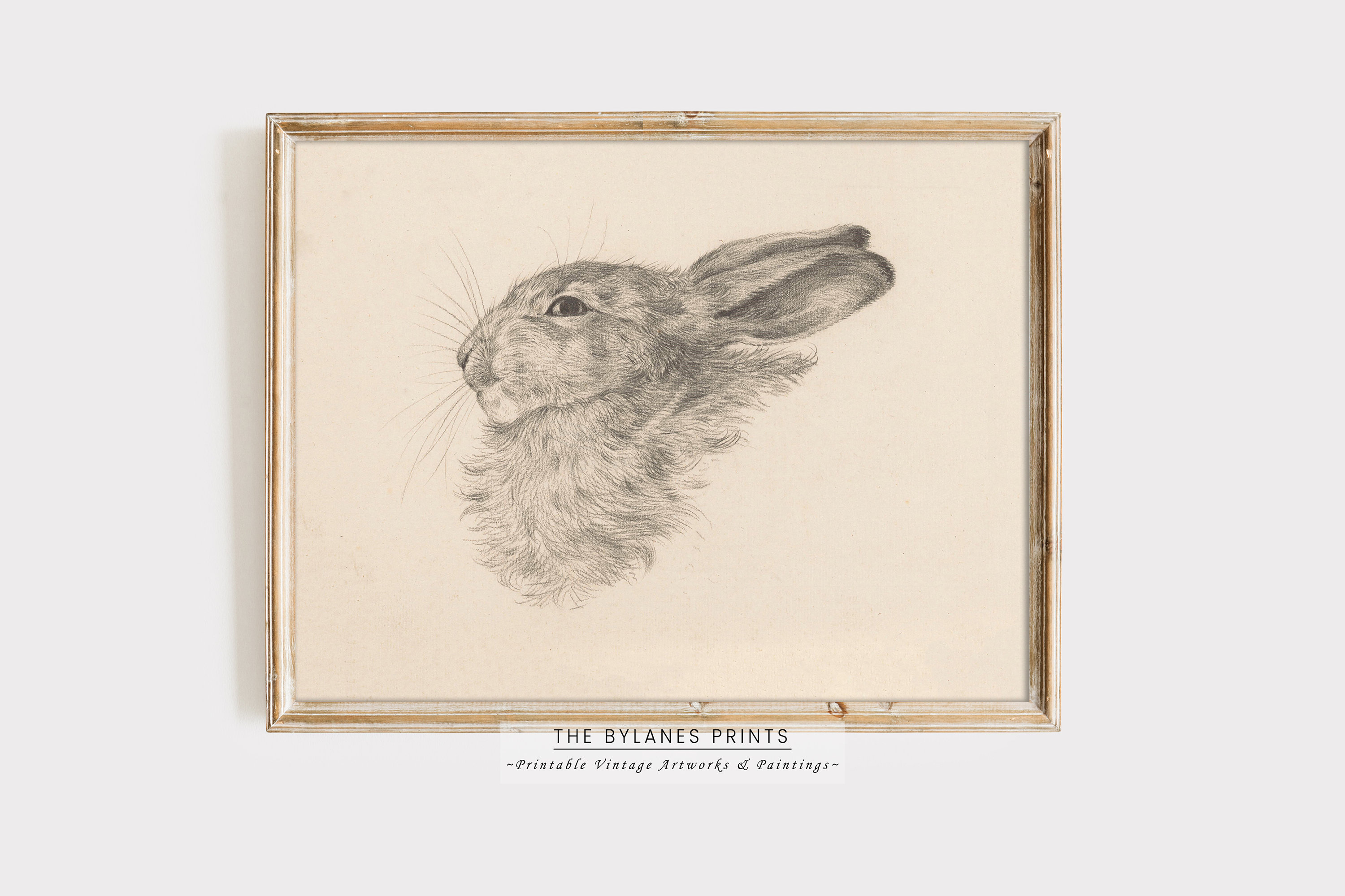 Vintage Bunny Illustration Bunny Drawing Minimalist Wall - Etsy