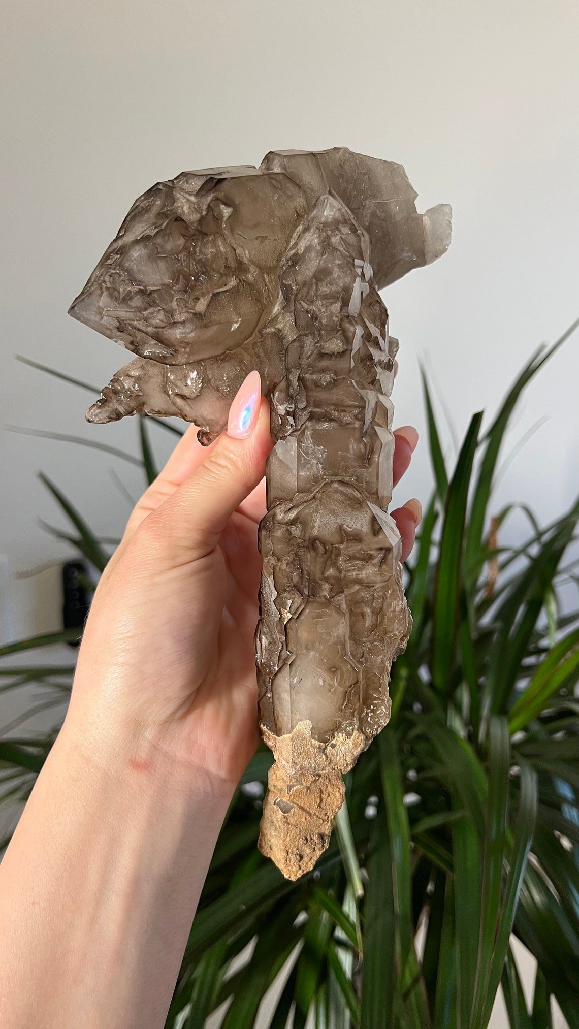 Elestial Smoky Crocodile Quartz Crystal Natural Smoky Alligator ...