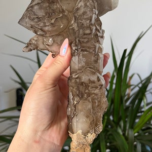 Elestial Smoky Crocodile Quartz Crystal Natural Smoky Alligator ...