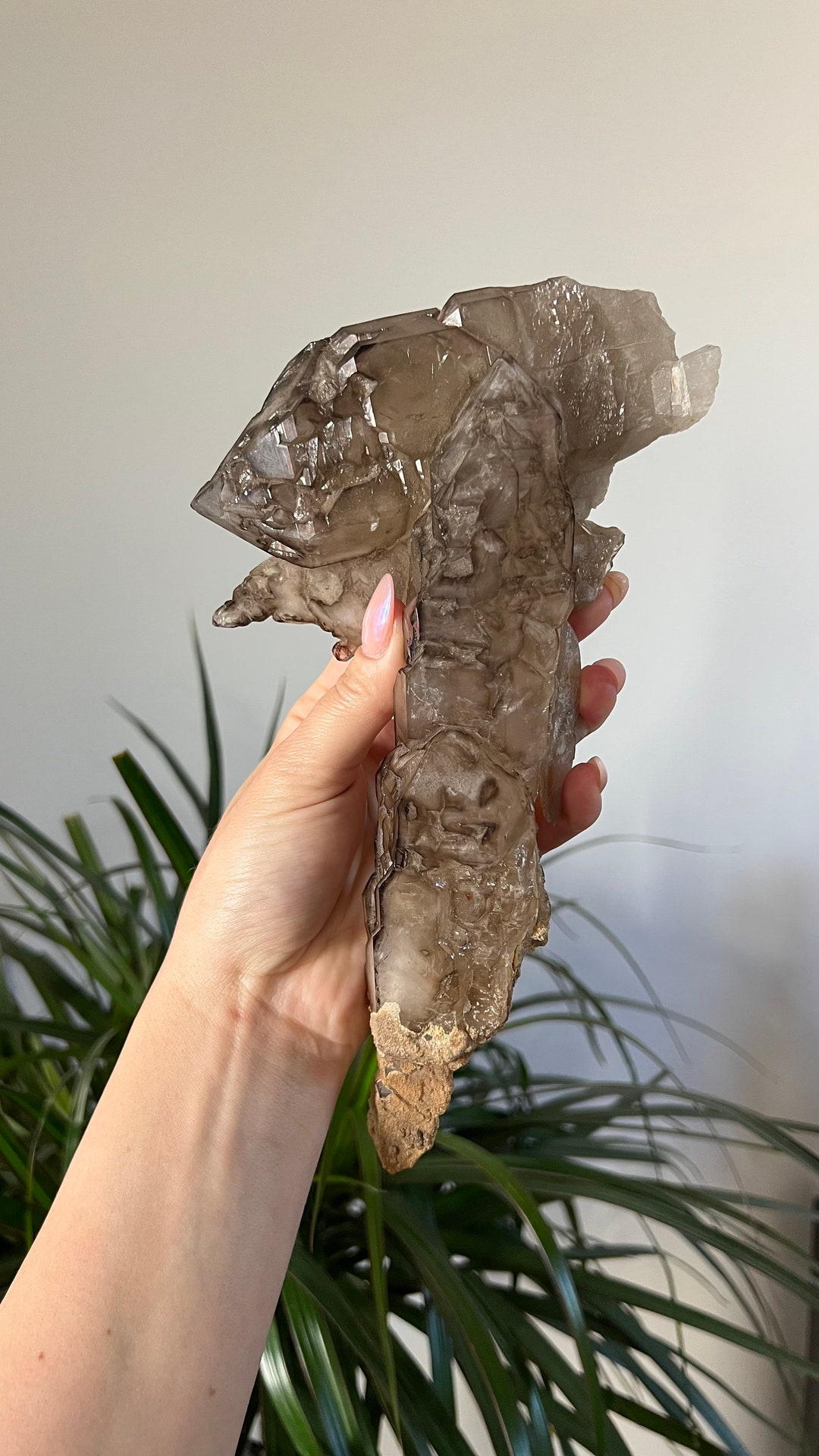 Elestial Smoky Crocodile Quartz Crystal Natural Smoky Alligator ...