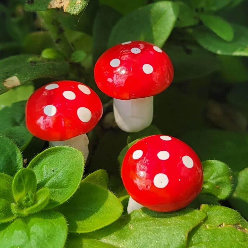 Miniature Mushroom - Etsy