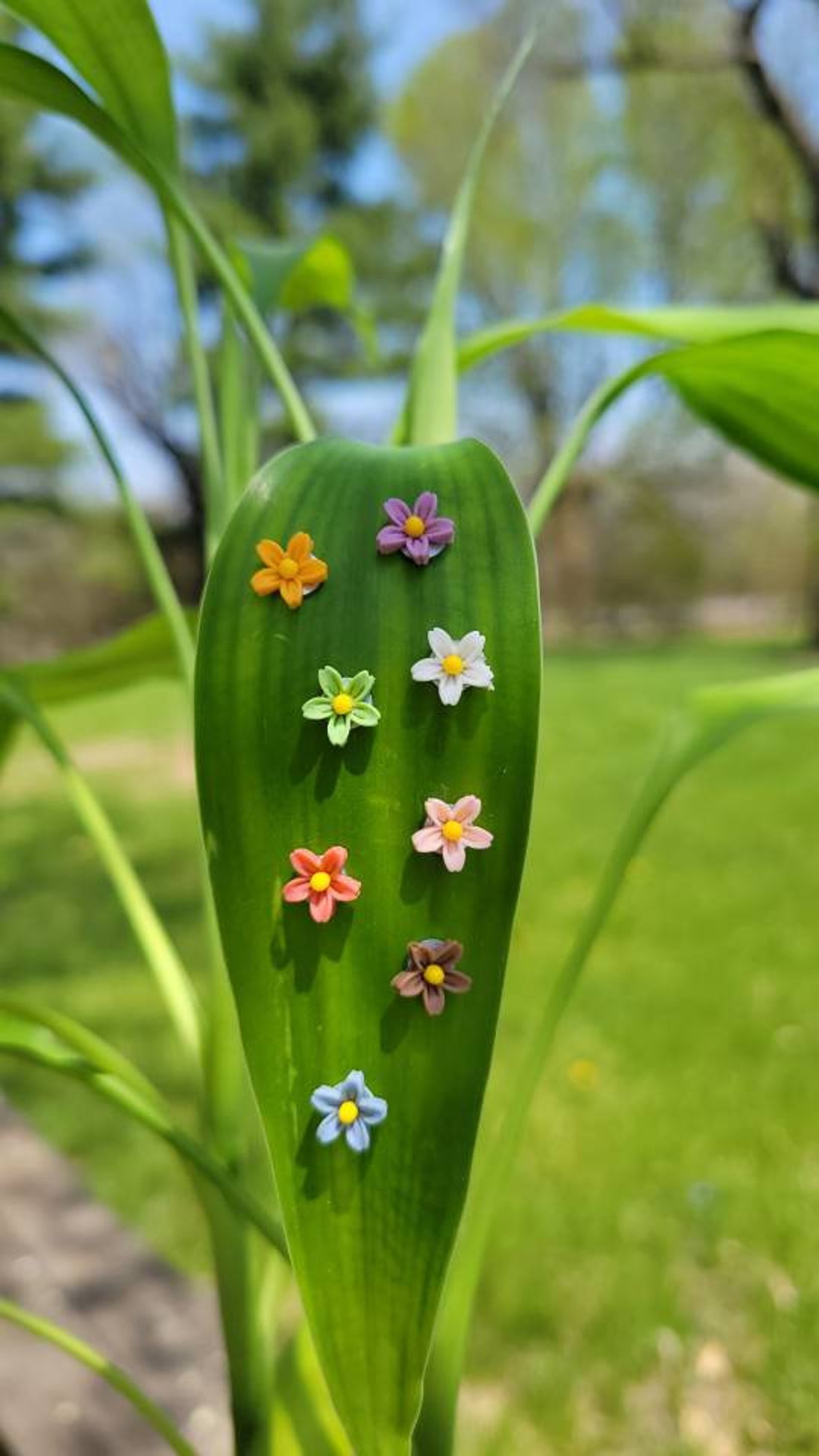 Set of 8 Dainty yet Charming Spring Flower Magnetic Plant Safe Pins ...