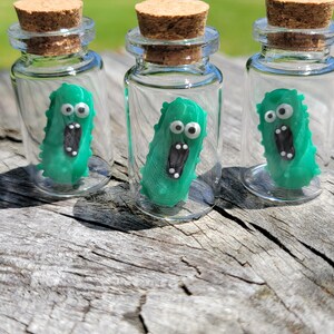 Tiny Pet Screaming Pickle in a Bottle Jar. Emotions Support Pickle ...
