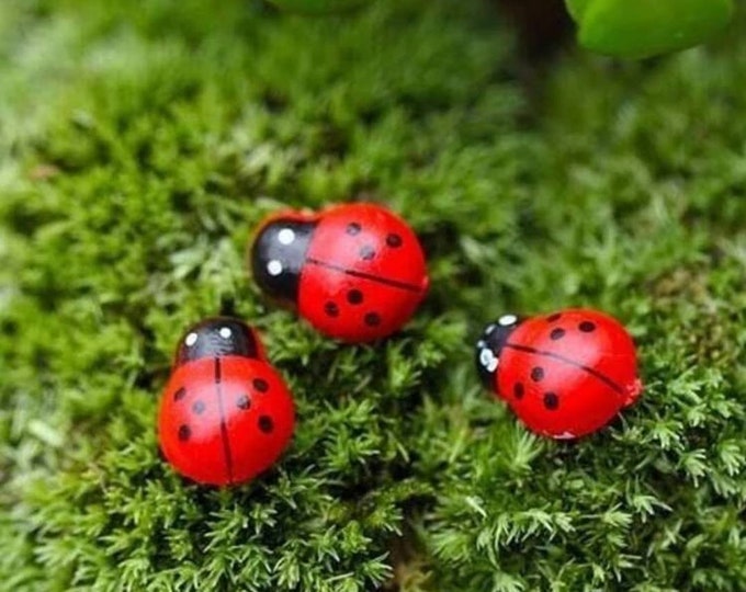 LADYBUG Flat Back 3D Resin, Ladybug Embellishment, BIY Hair Bows, DIY ...