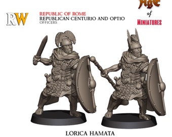 Late Roman Comitatenses lorica Hamata Heavy Infantry, Historical 1/72 ...