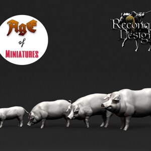 Medieval Pigs Diorama, Historical 1/72, 28mm, 32mm, 1/35, 54mm, 75mm, 1 ...