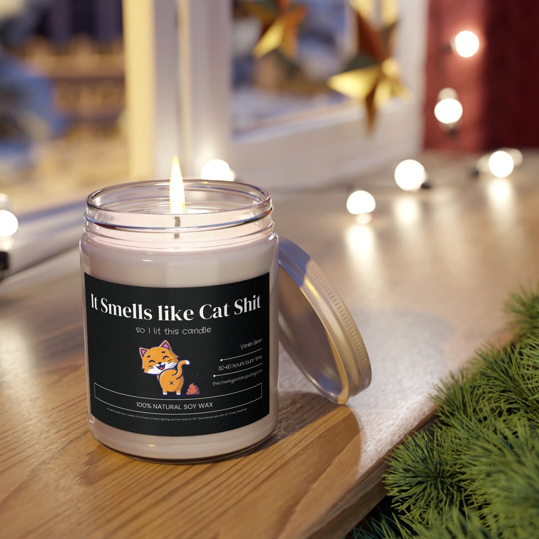 Smells Like Cat Shit Candle, Funny Cat Candle, Crazy Cat Lady, Cat ...
