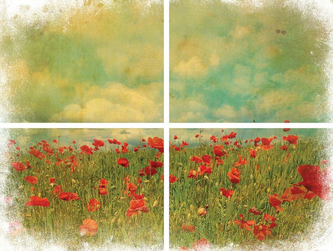 Field of Flowers Red Flowers Field Decor Transfer | Dixie Belle, 4 ...