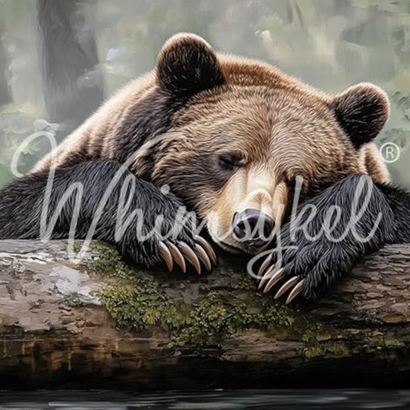 Teddy Tissue Paper - Etsy