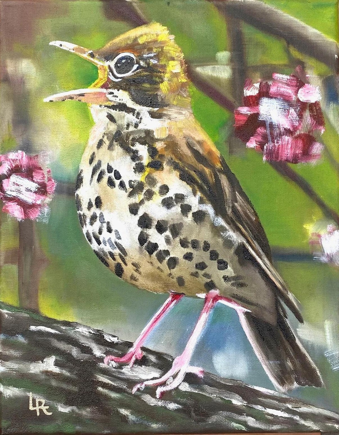WOOD THRUSH ORIGINAL Oil Painting of Wild Birds on Canvas, Wall Decor ...