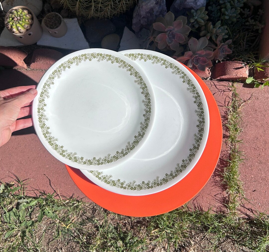 Corelle Spring Blossom Aka Crazy Daisy Print Plates - Etsy
