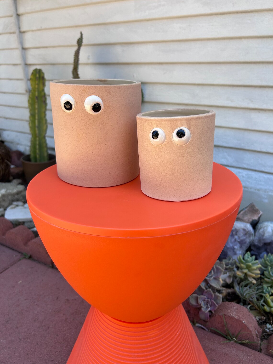 Set of 2 Google Eye Plant Pots - Etsy