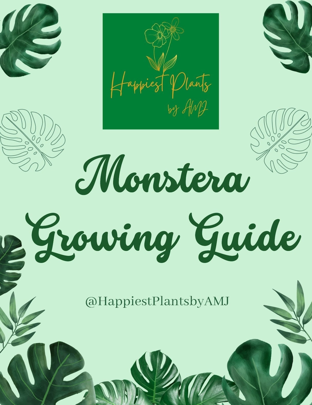 Monstera - Growing Guide | Everything You Need to Know With Growing ...