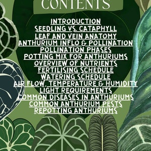 Anthurium Grow Guide: Your Comprehensive A-Z Manual for Thriving ...